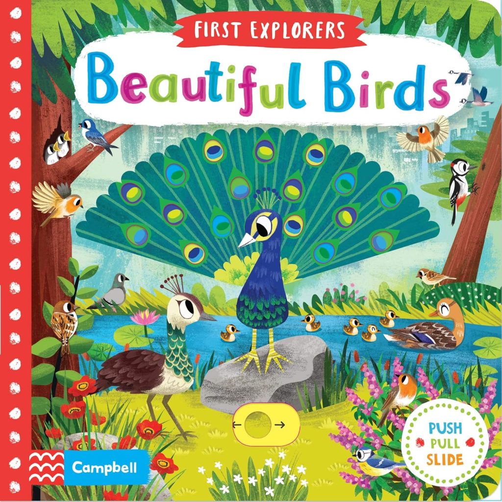 Pull-Push-Slide Books – Happy Baby Books
